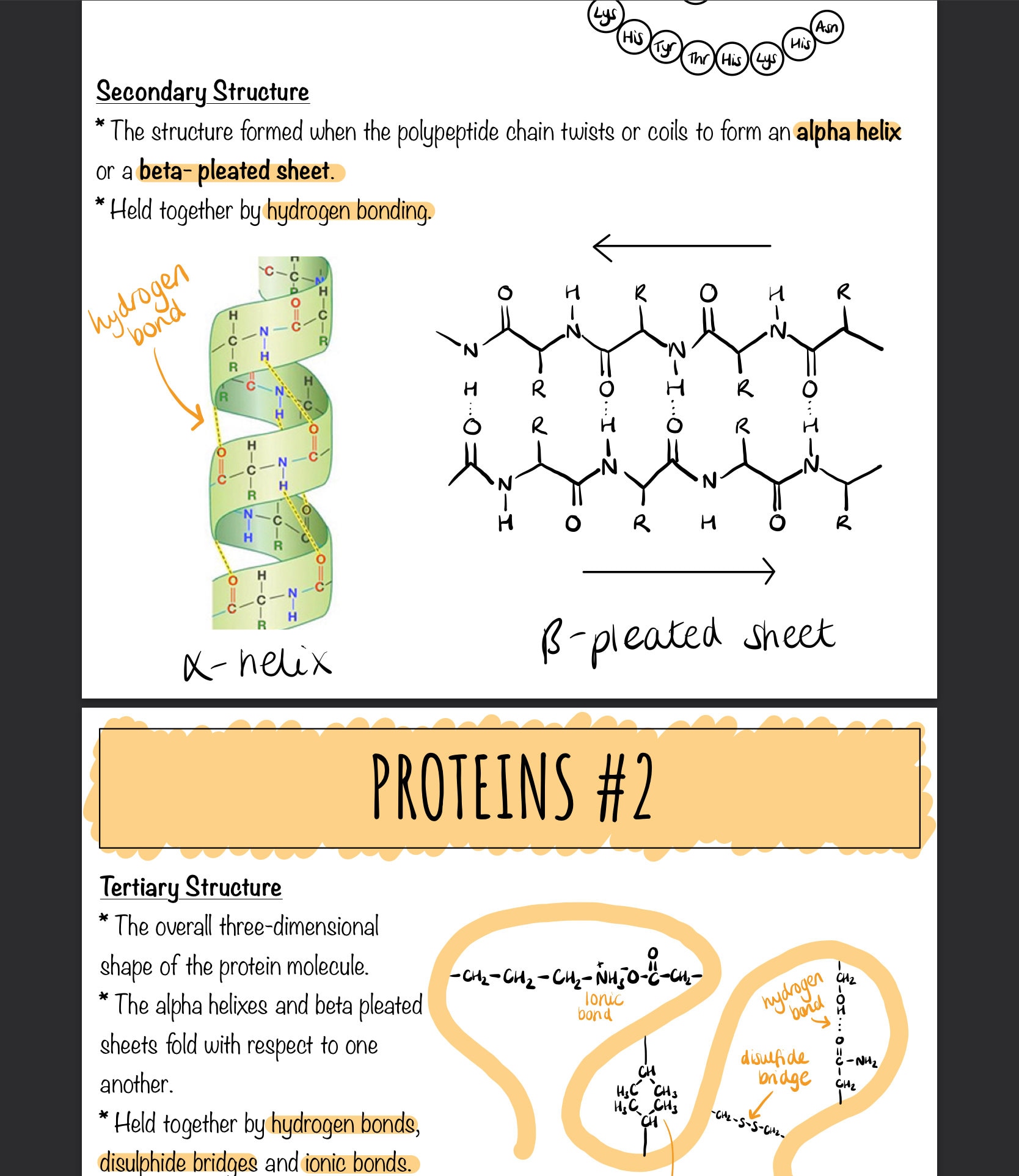 Amino Acids A Level Chemistry Biology Revision Cards DIGITAL DOWNLOAD ...