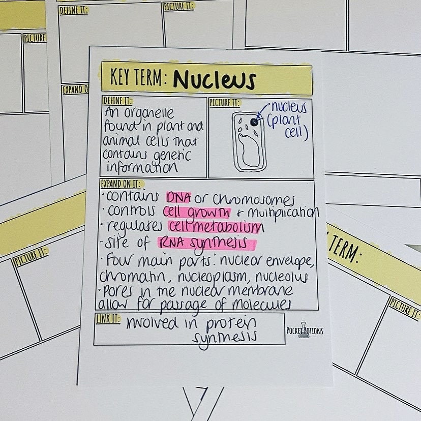 Blank Revision Cards English or Welsh - Etsy UK