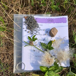 Science Scavenger Hunt STEM Activity Home Education Montessori 1000 ...