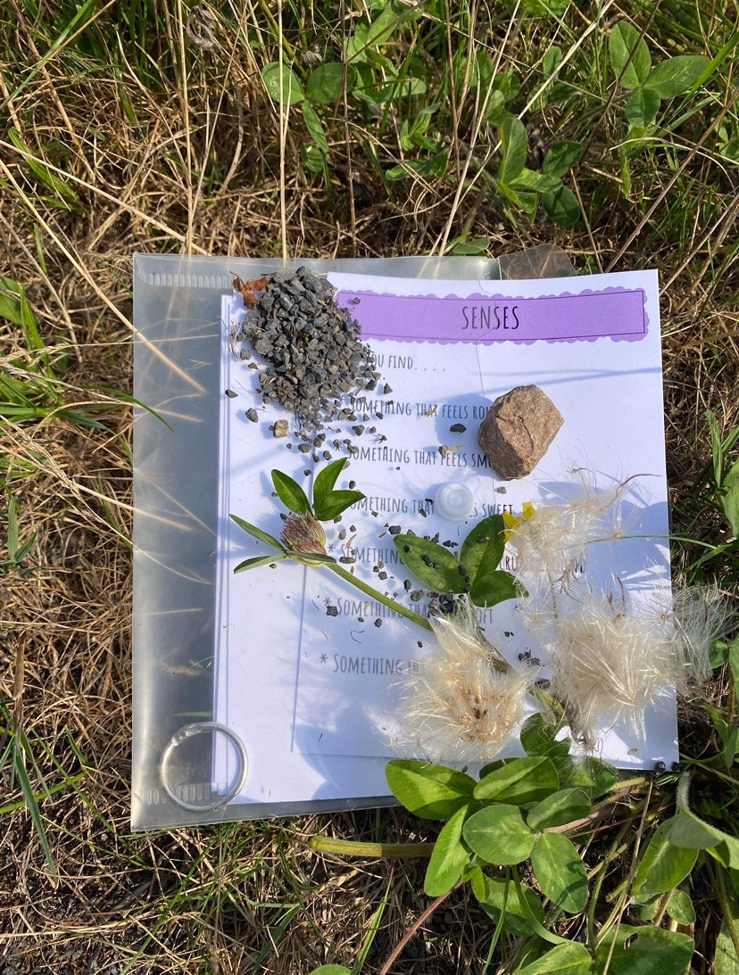 Science Scavenger Hunt | STEM Activity | Home Education | Montessori ...