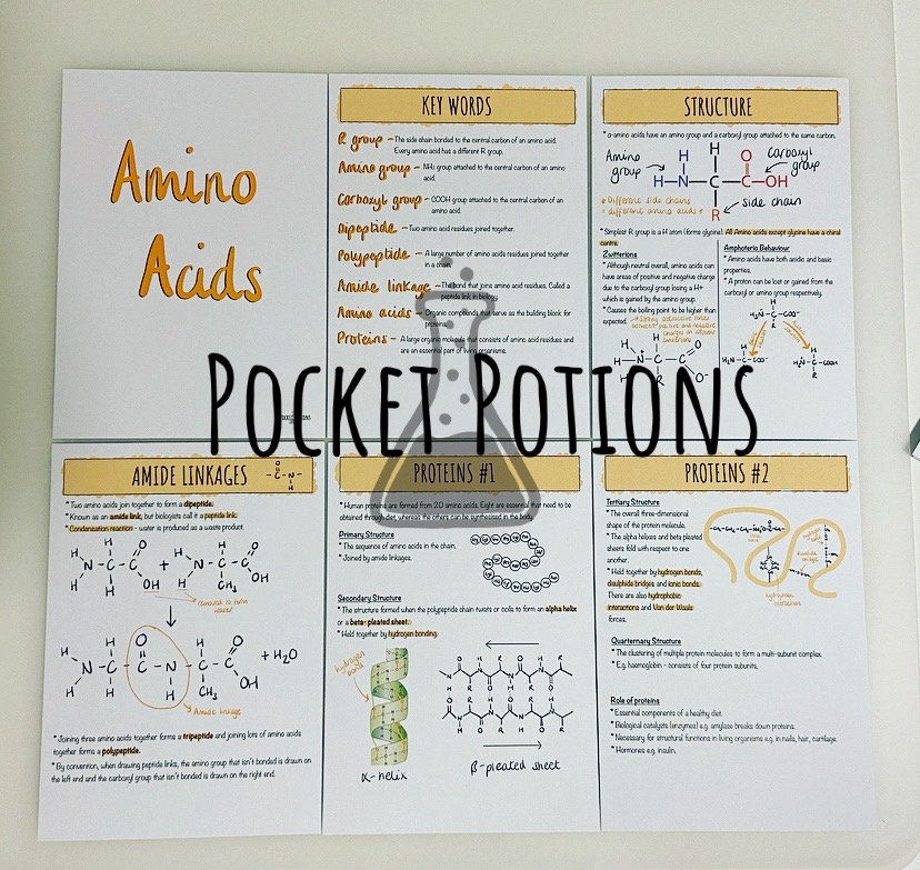 Amino Acids A Level Chemistry Biology Revision Cards DIGITAL DOWNLOAD ...