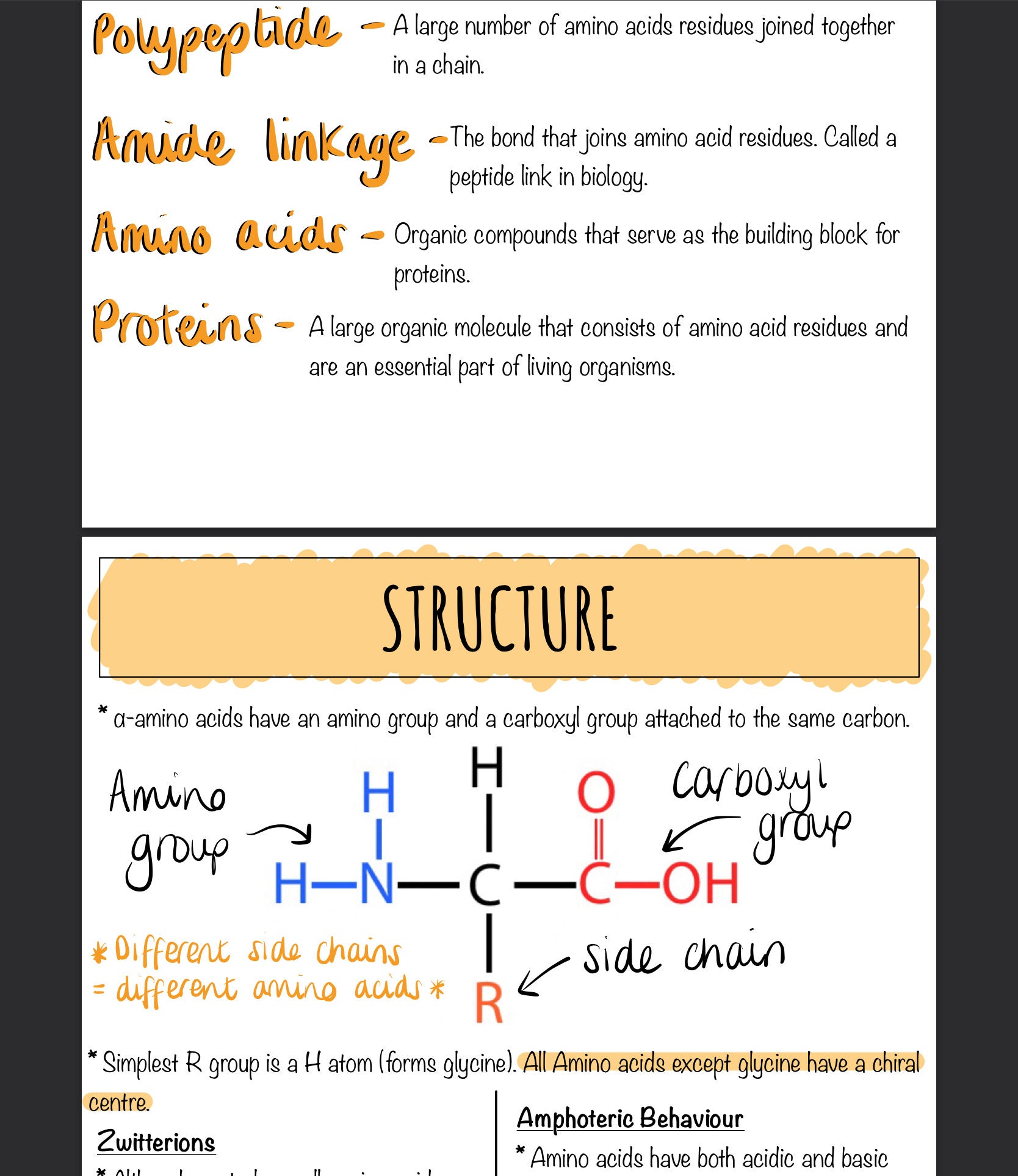 Amino Acids A Level Chemistry Biology Revision Cards DIGITAL DOWNLOAD ...