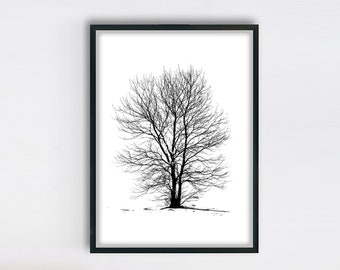 Black and White Tree Prints - Etsy