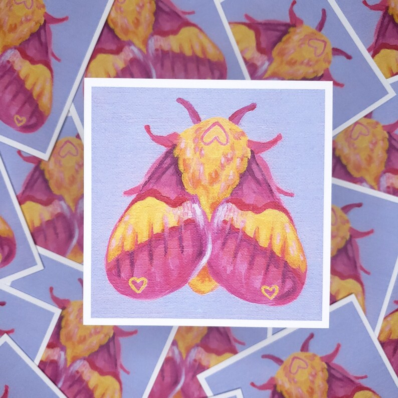 Strawberry Lemonade Moth | 5x5 Art Print | Rosy Maple Moth - Etsy