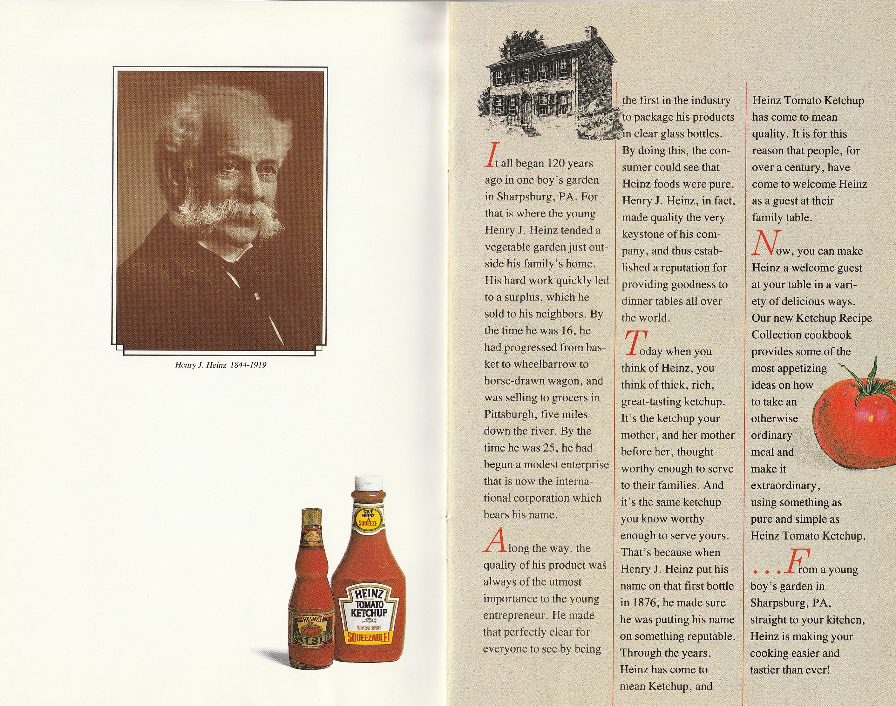 Heinz Tomato Ketchup Recipe Collection Broiled Cheese Stuffed Mushrooms ...