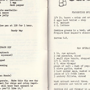 Homespun Cookery Avon Lake Ohio Junior Women's Club Appetizers Salads ...