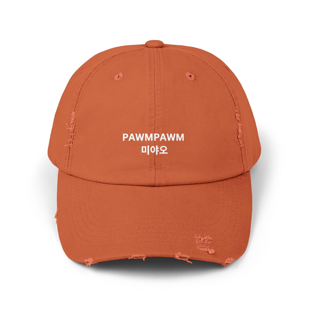 PAWMPAWM Meovv Unisex Distressed Cap | Meovv Merch Kpop, Meovv Fans ...