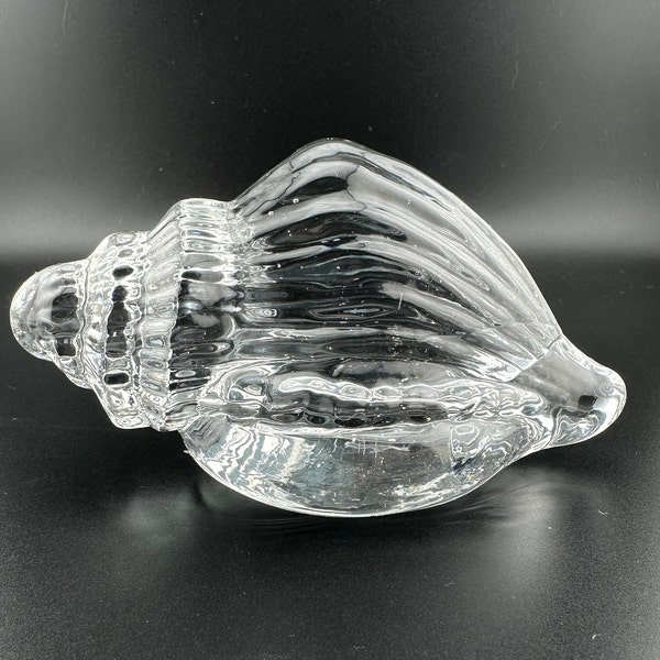 Glass Conch - Etsy