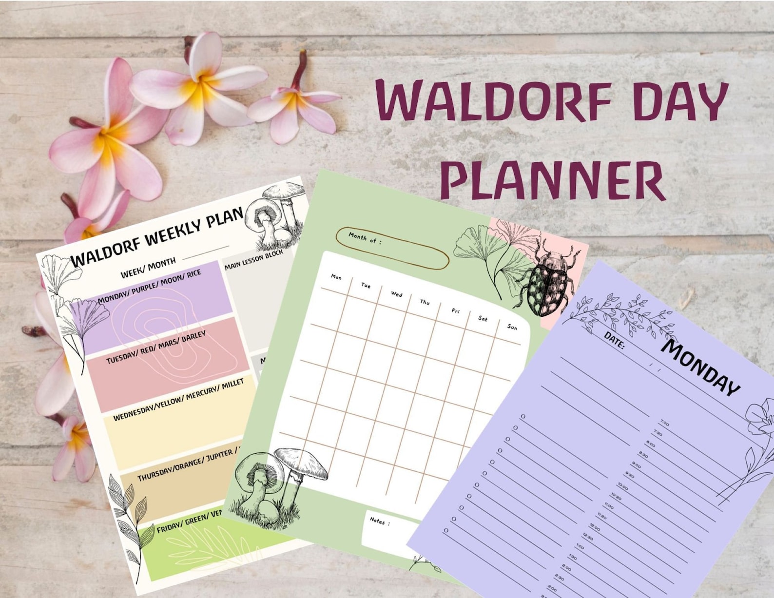 Waldorf School Day Planner School Homeschool Daily Planning - Etsy