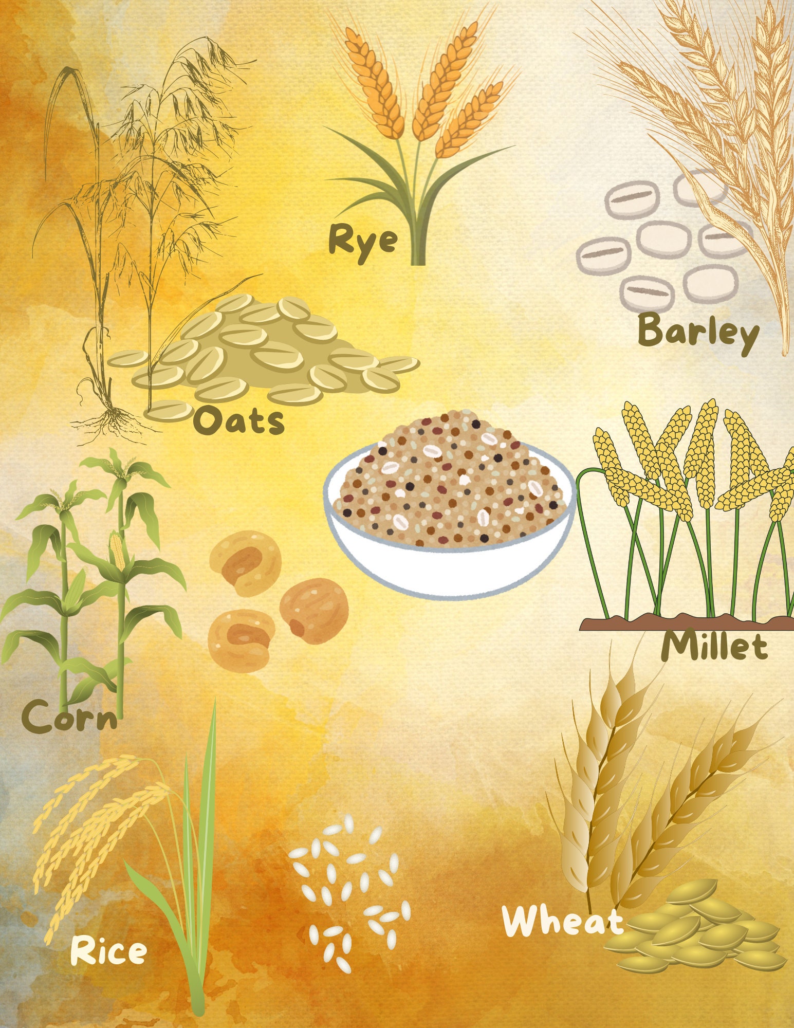 Waldorf 3rd Grade Farming Lesson Plan, Homeschool Curriculum (digital ...