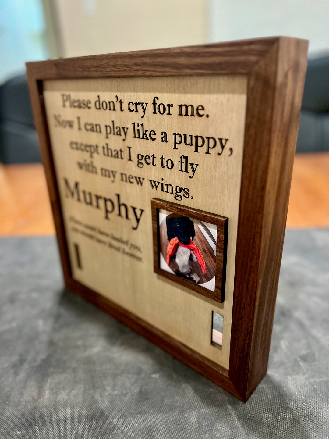 Dog/cat/pet Memory Shadow Box Engraved Photo Frame - Etsy