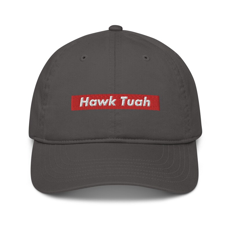Hawk Tuah Box Logo Organic Cotton Dad Hat - Etsy