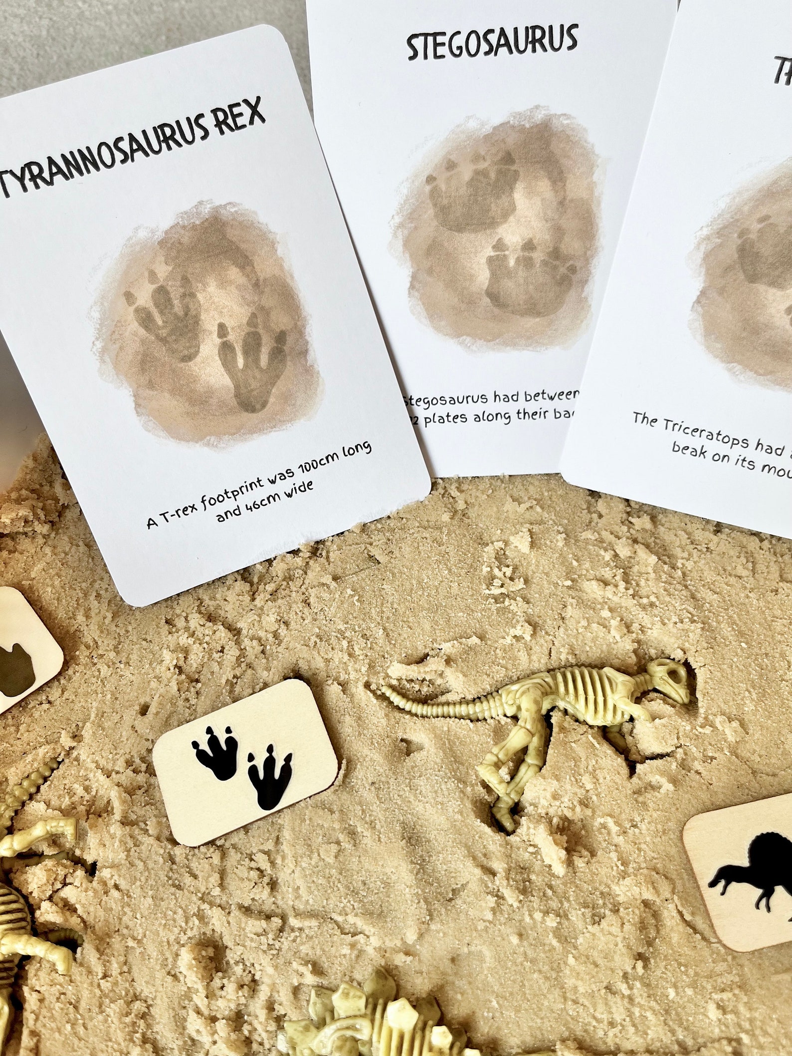 Dinosaur Fossil Wood and Card Flashcards, Dinosaur Learning Resources ...