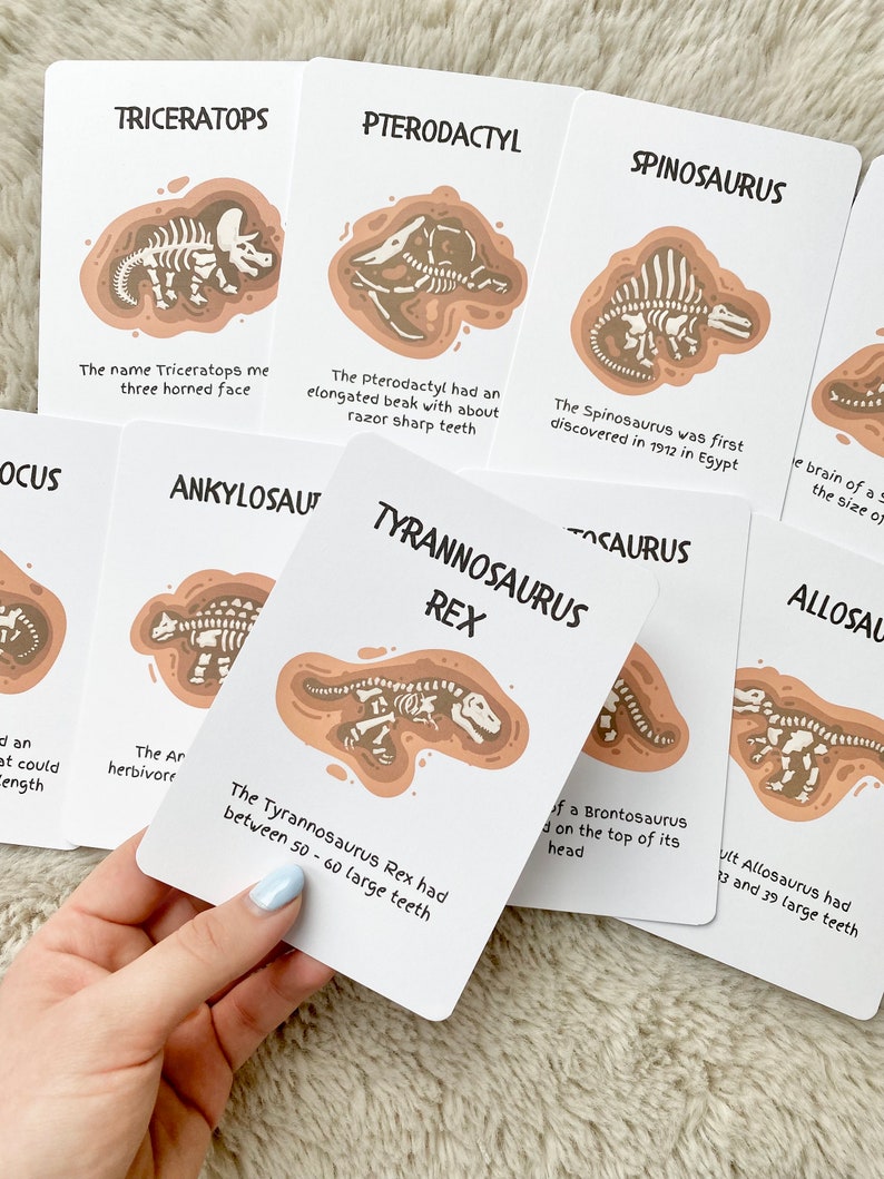 Dinosaur Fossil Style Fact Flashcards Flashcards for - Etsy