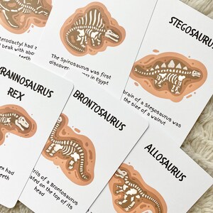Dinosaur Fossil Style Fact Flashcards, Flashcards for Children ...