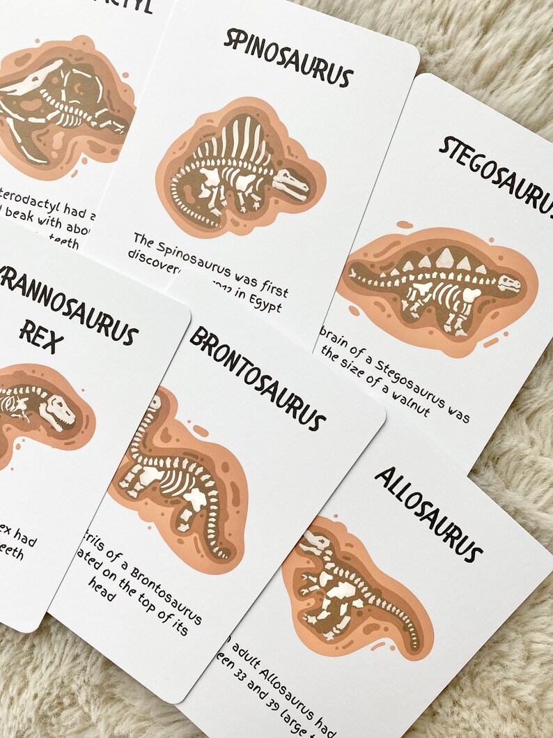 Dinosaur Fossil Style Fact Flashcards Flashcards for - Etsy
