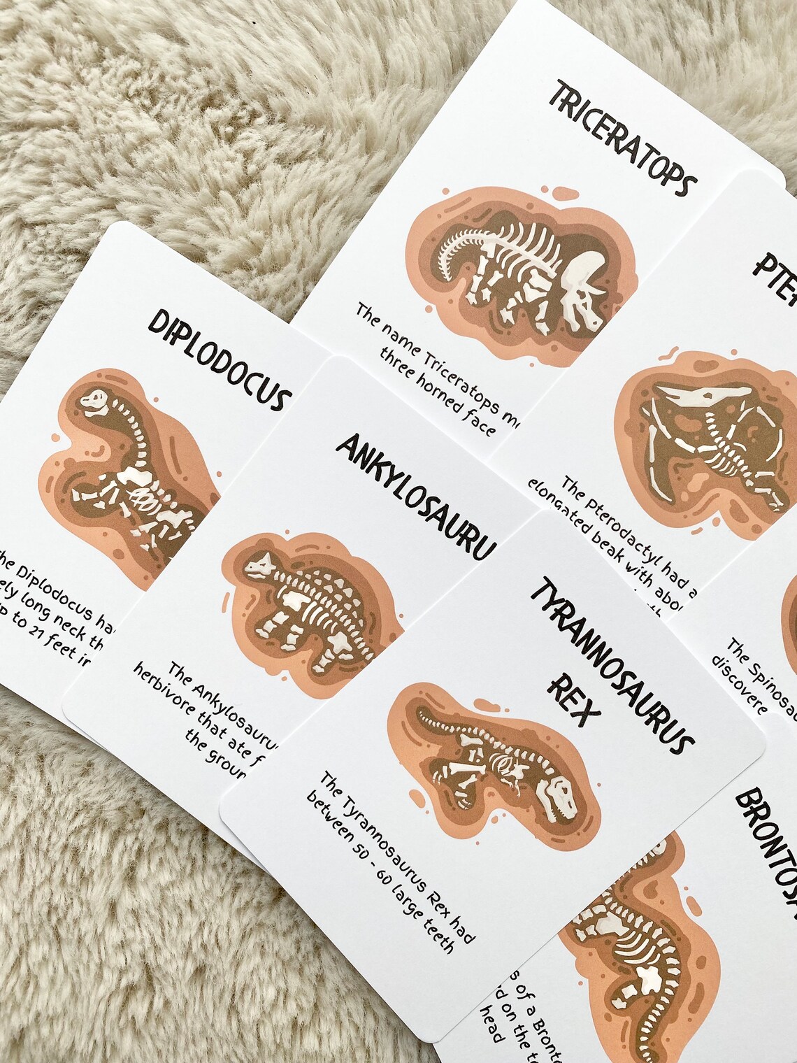 Dinosaur Fossil Style Fact Flashcards Flashcards for - Etsy