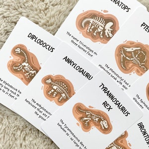 Dinosaur Fossil Style Fact Flashcards, Flashcards for Children ...