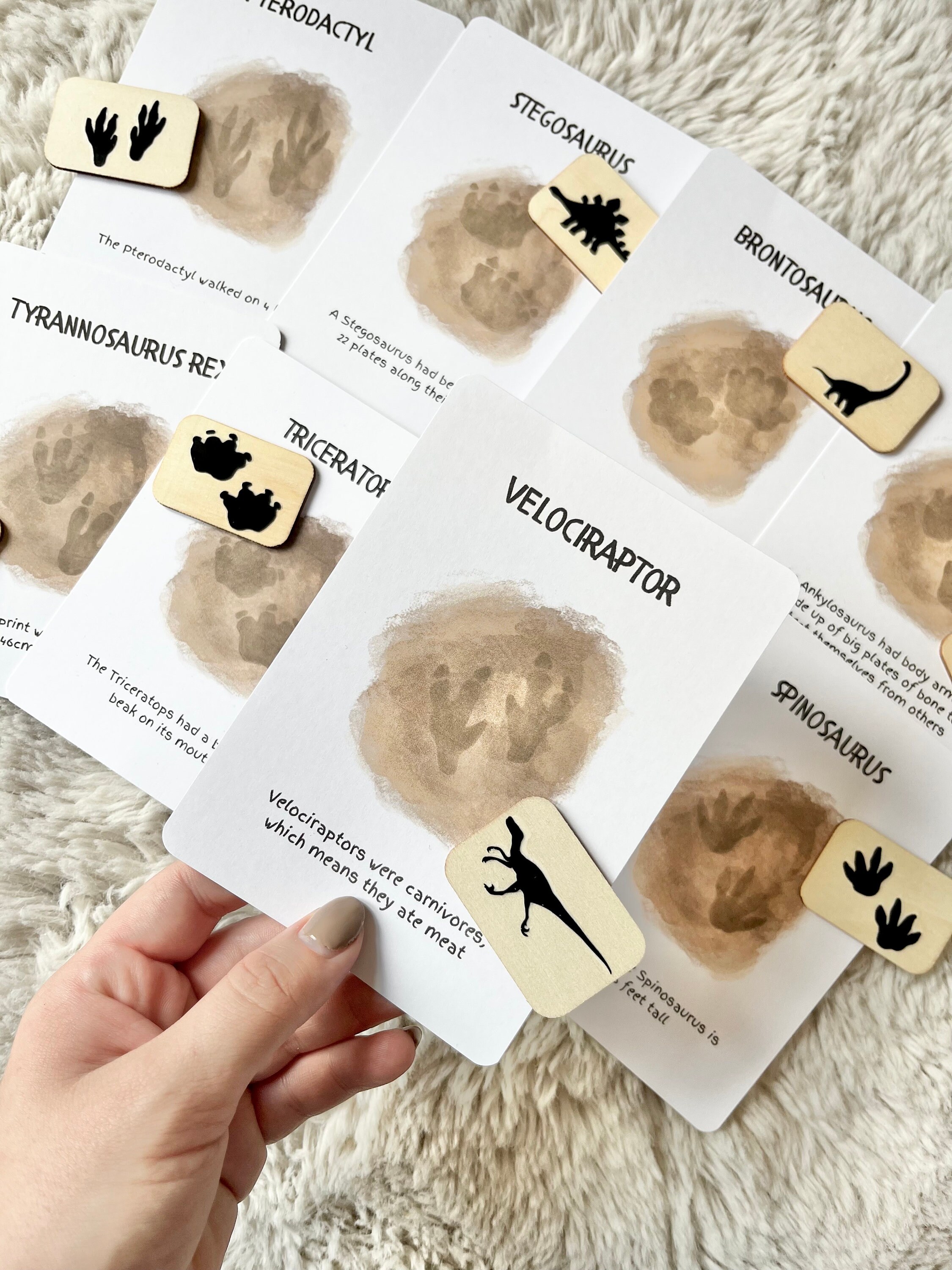Dinosaur Fossil Wood and Card Flashcards, Dinosaur Learning Resources ...