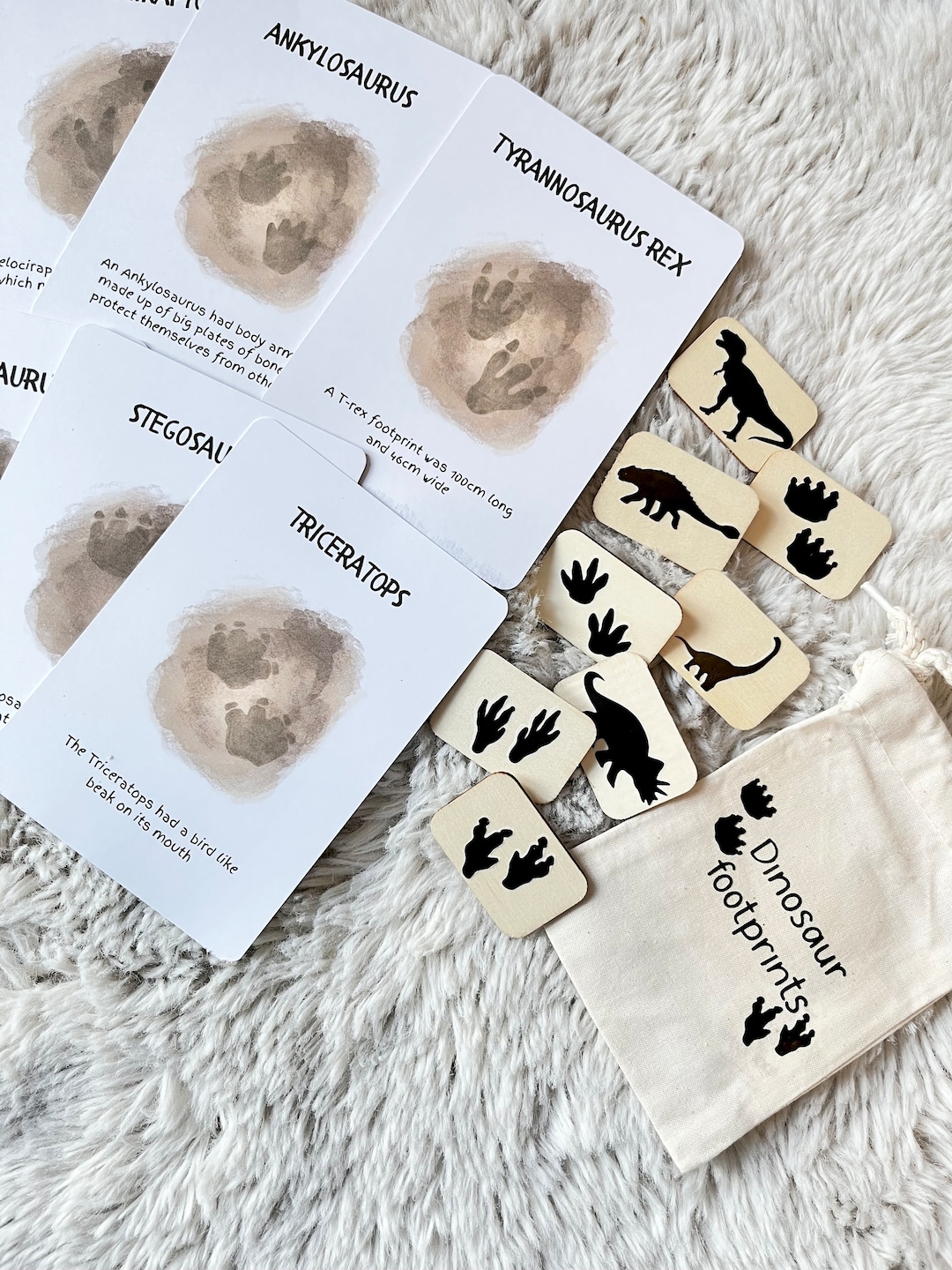 Dinosaur Fossil Wood and Card Flashcards, Dinosaur Learning Resources ...