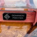 Star Trek Jem’hadar Dominion Fighter in a Bottle - Etsy