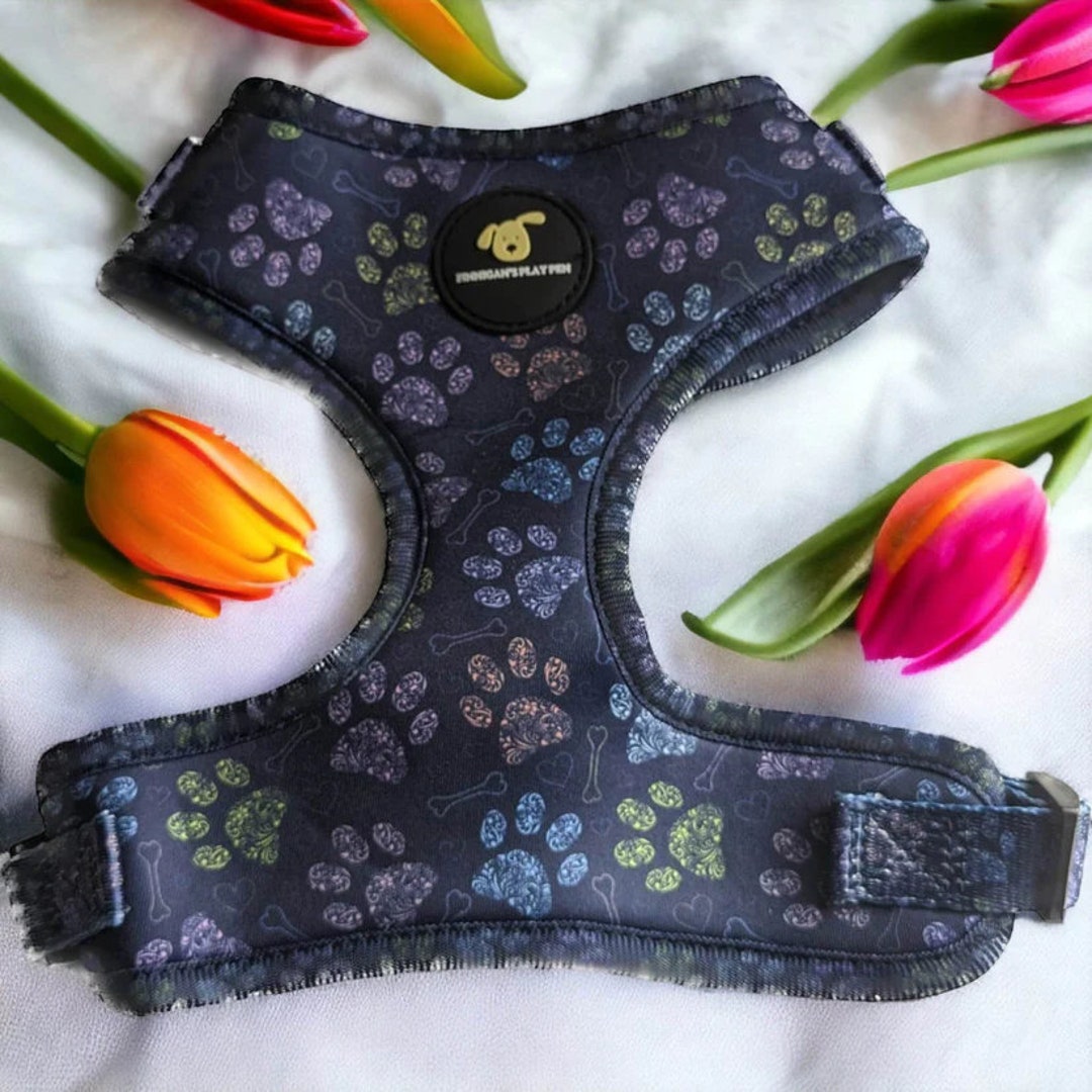 Paws & Playful Bones Harness, Handmade Dog Harness UK, Vibrant Dog ...