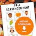 Fall Scavenger Hunt for Kids: Printable Autumn Activity (PDF) - Etsy