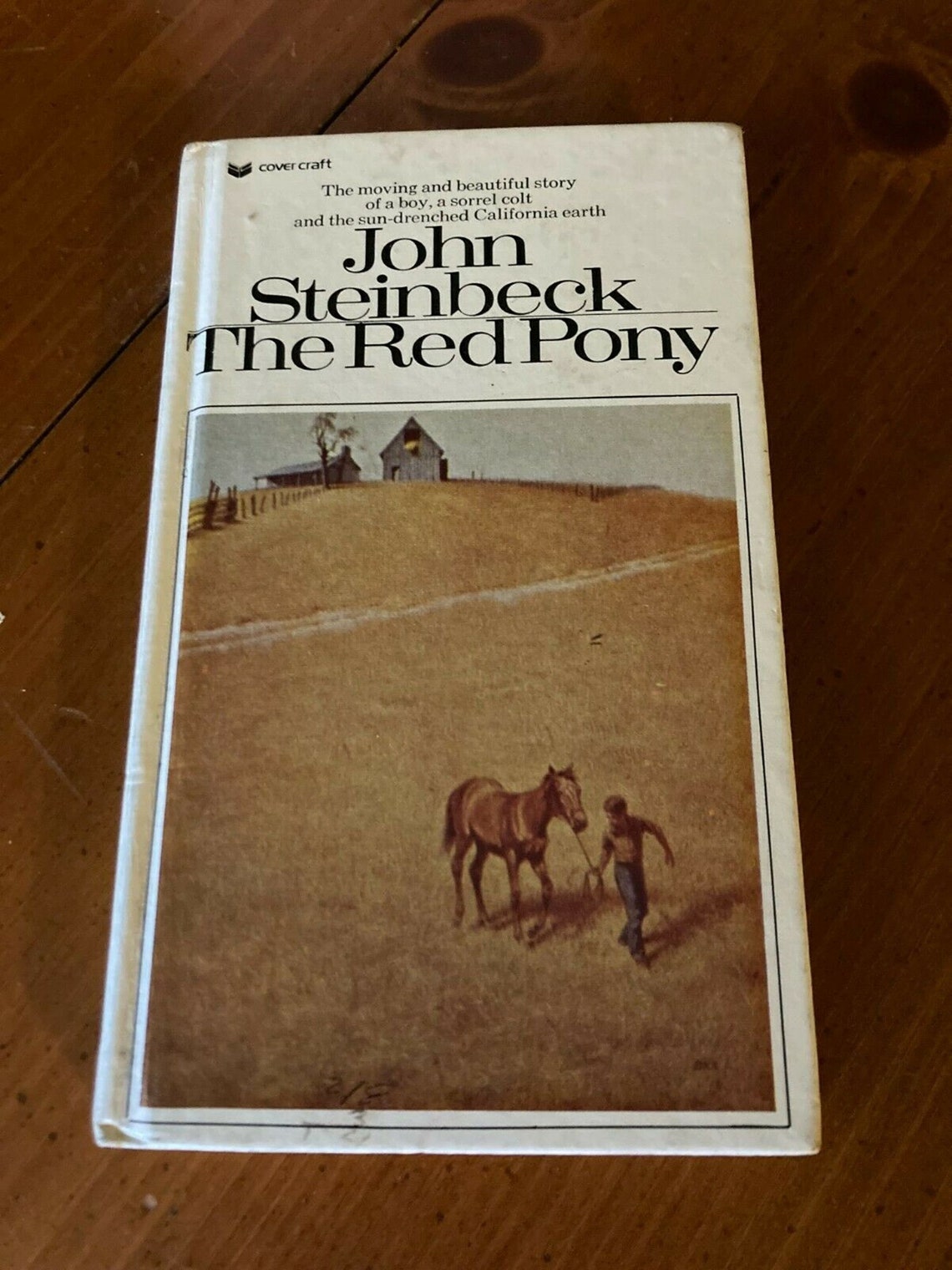 Vintage John Steinbeck The Red Pony 1983 Lot of 10 | Etsy
