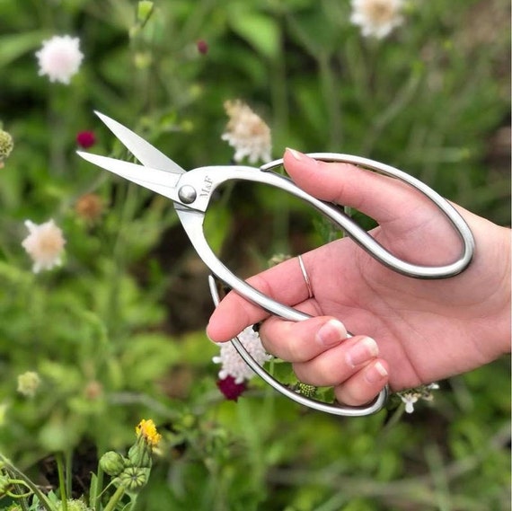 Bonsai Snips Gift Set L Bonsai Snips L Small Gift Box - Etsy Australia