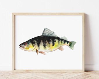 Yellow Perch Art - Etsy
