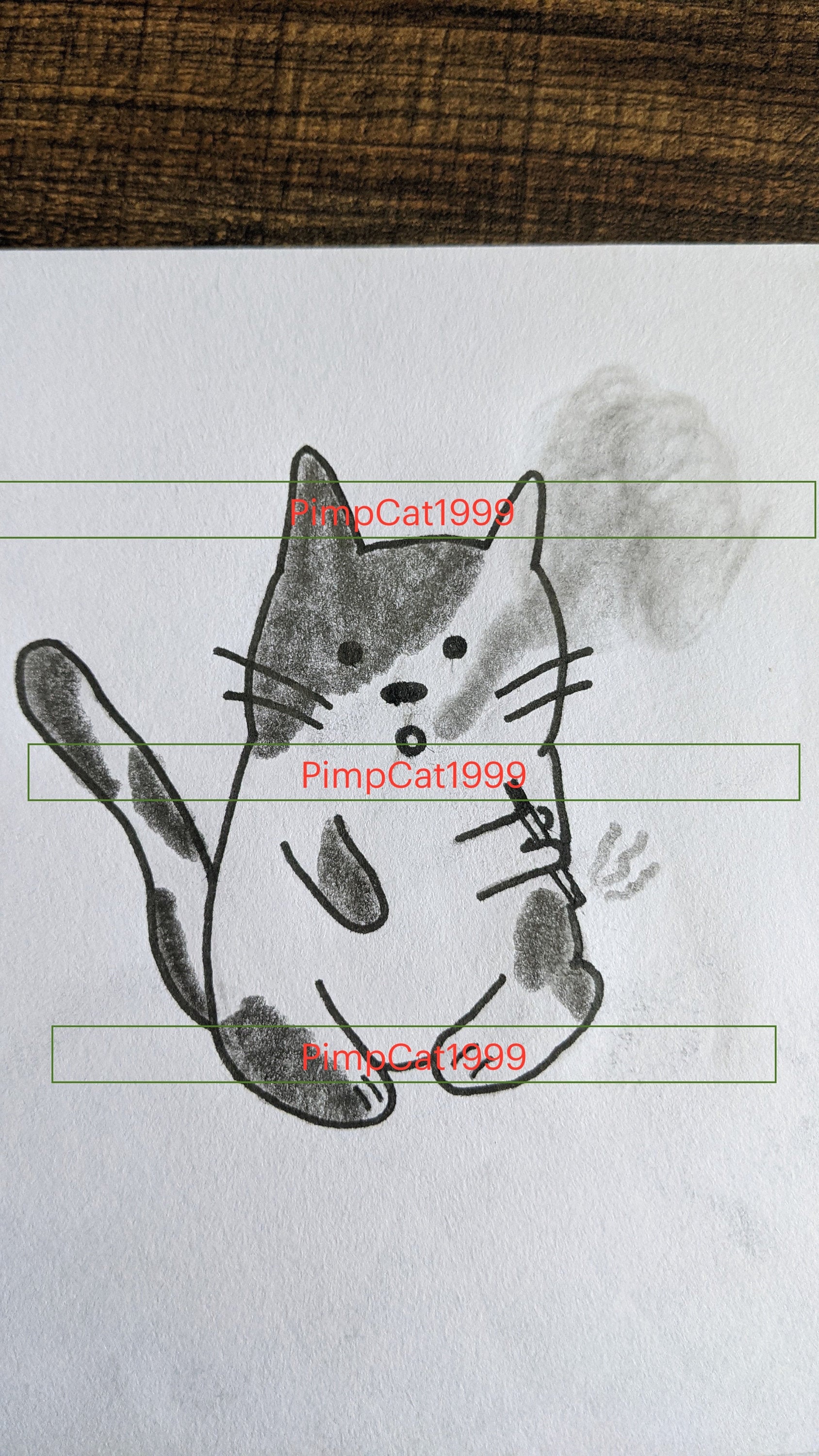Cat Smoking Cigarette Drawing