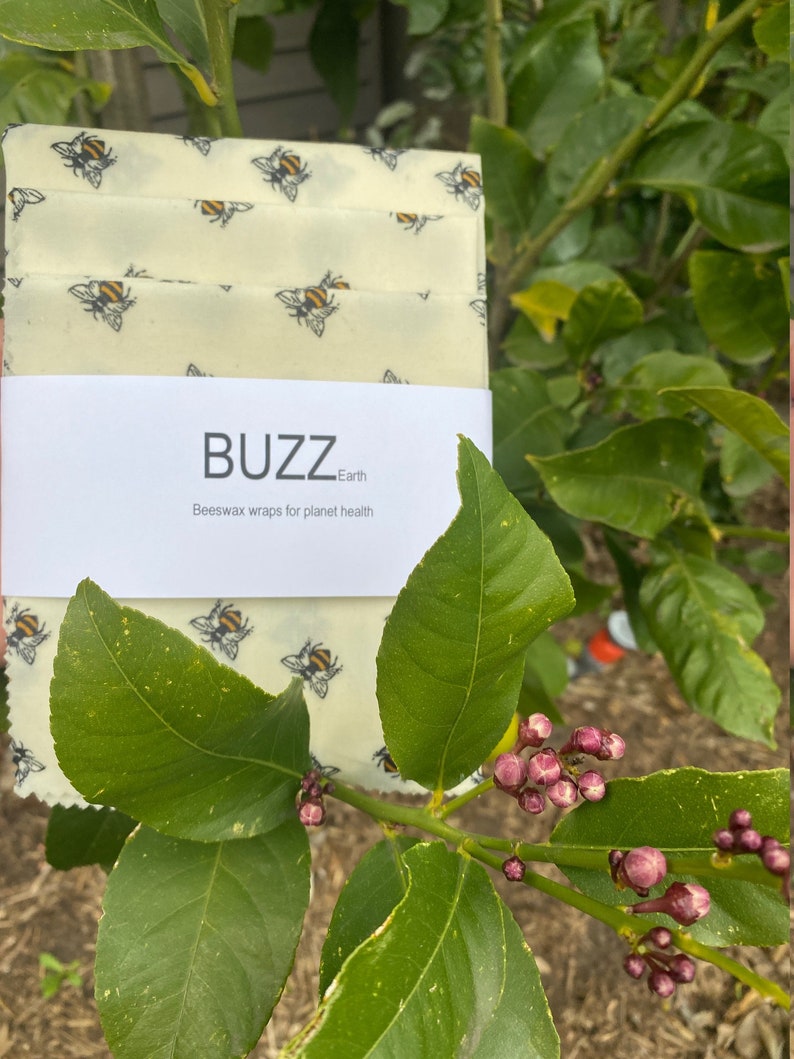 Buzzy Bees (3 Pack) - Etsy