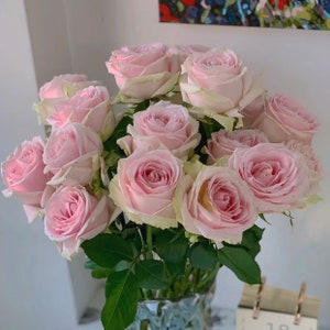 Pink Avalanche 粉红雪山 Pretty Cut Rose - Etsy