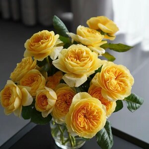 Yellow Julie Jeanne 圣女贞德 - Etsy