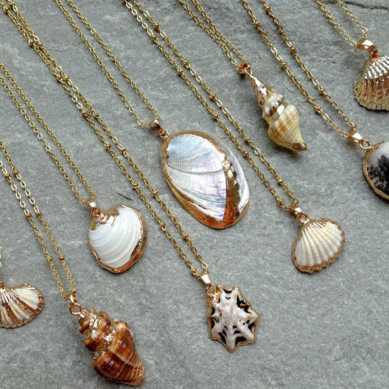 Gold Shell Necklace - Etsy