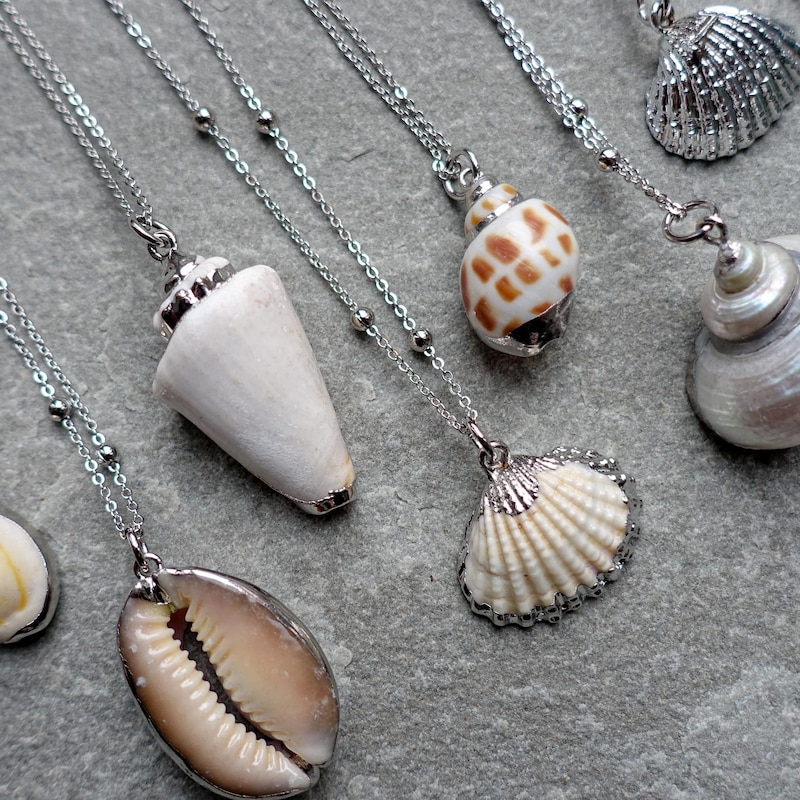 Sea Shell Necklace - Etsy