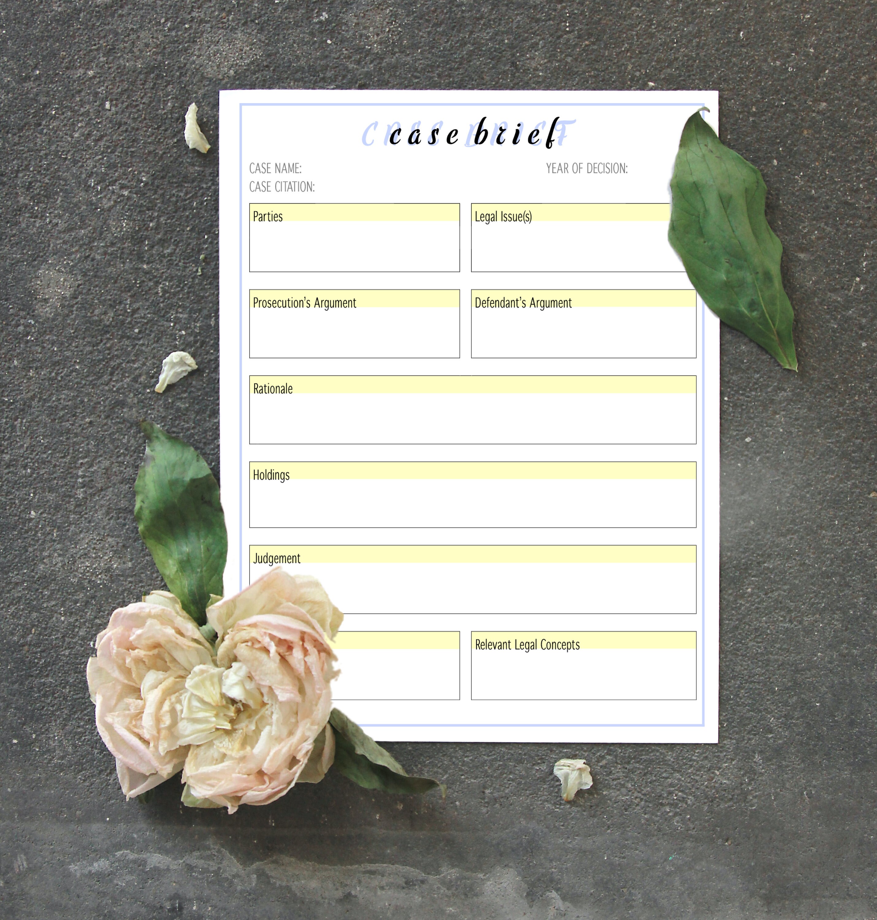 Family Law Trial Brief Sample