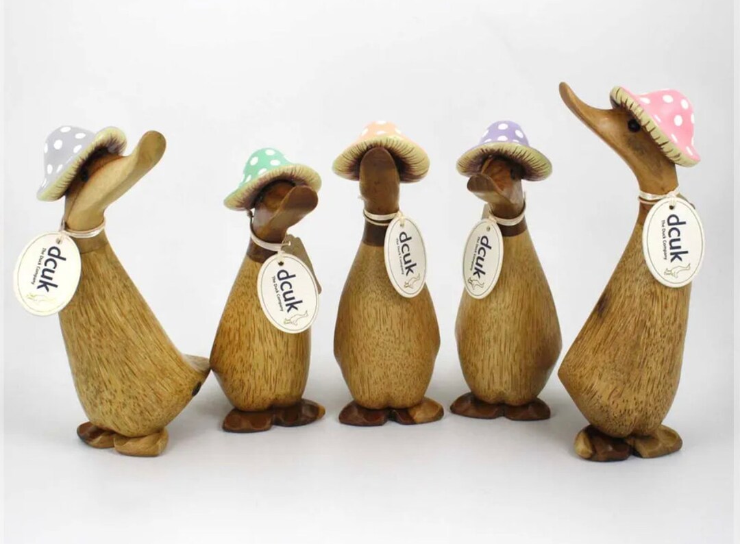 Toadstool Folk Duckling Wood Ducks - Etsy