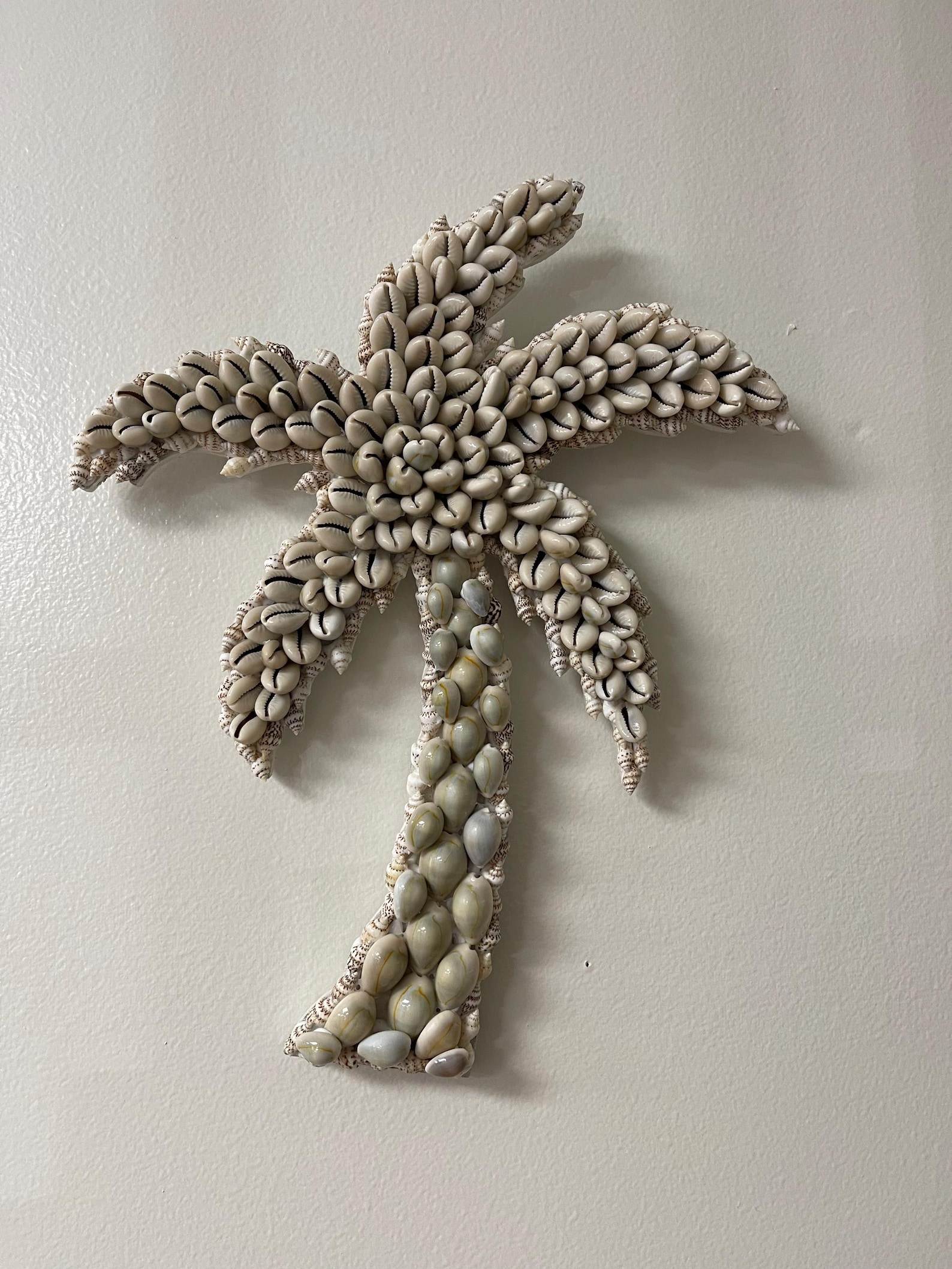 Seashell Palm Tree, Coastal Decor Wall Hanging (9.5" X 11.75") - Etsy