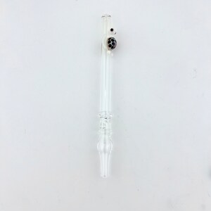 Turtle Honey Straw - Glass Honey Straws | Turtle Straws | Turtle Honey ...