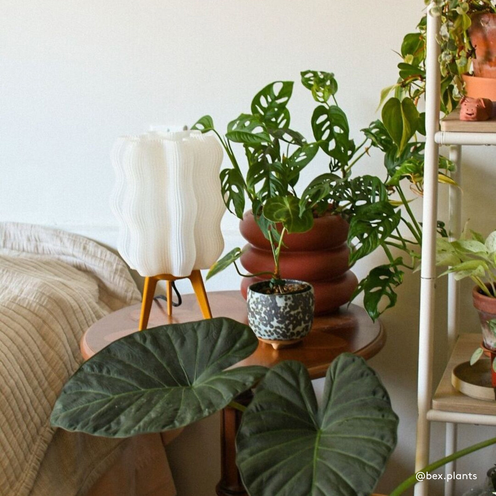 Wavy Lamp Standard 3D Printed Lamp Funky Lamp Sculptural - Etsy