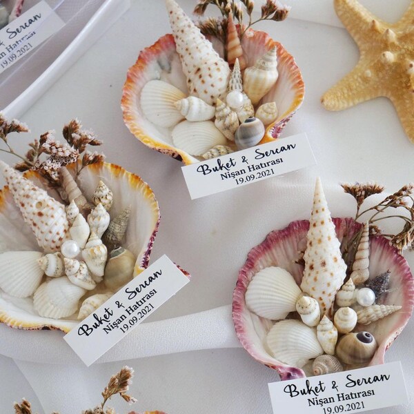 Seashell Favors - Etsy