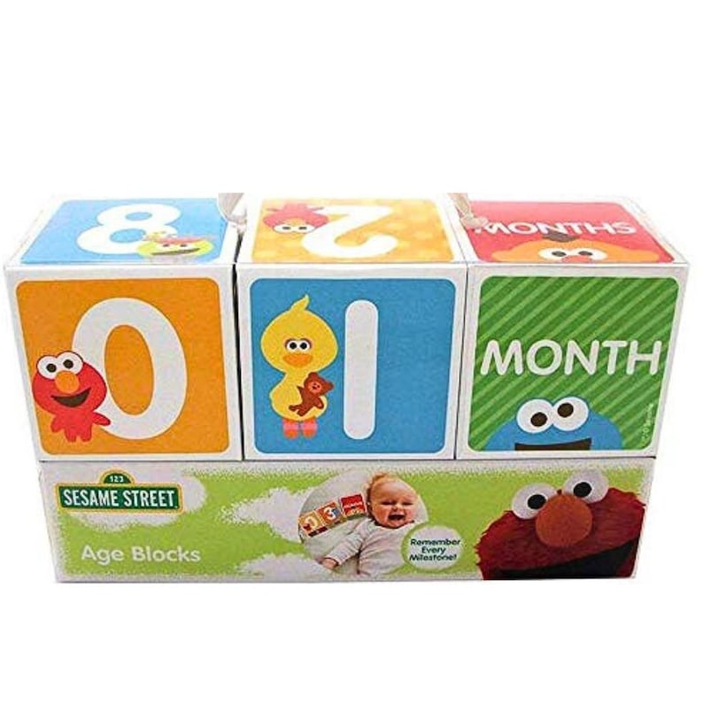 Sesame Street Age Blocks NEW Milestone Baby Infant Toddler Growing Play ...
