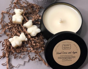 Tsukishima, Sea Salt Lime and Agave Scented, Anime Candle - Etsy