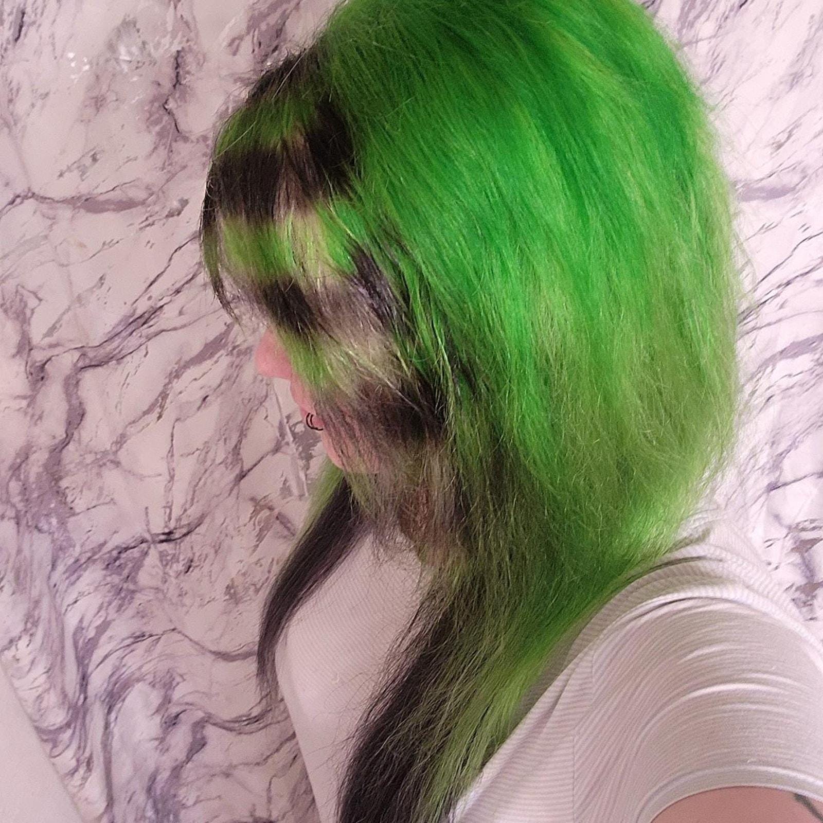 Green Black Zebra Human Hair Scene Wig, 24 Inch 13x6 Lace Front - Etsy