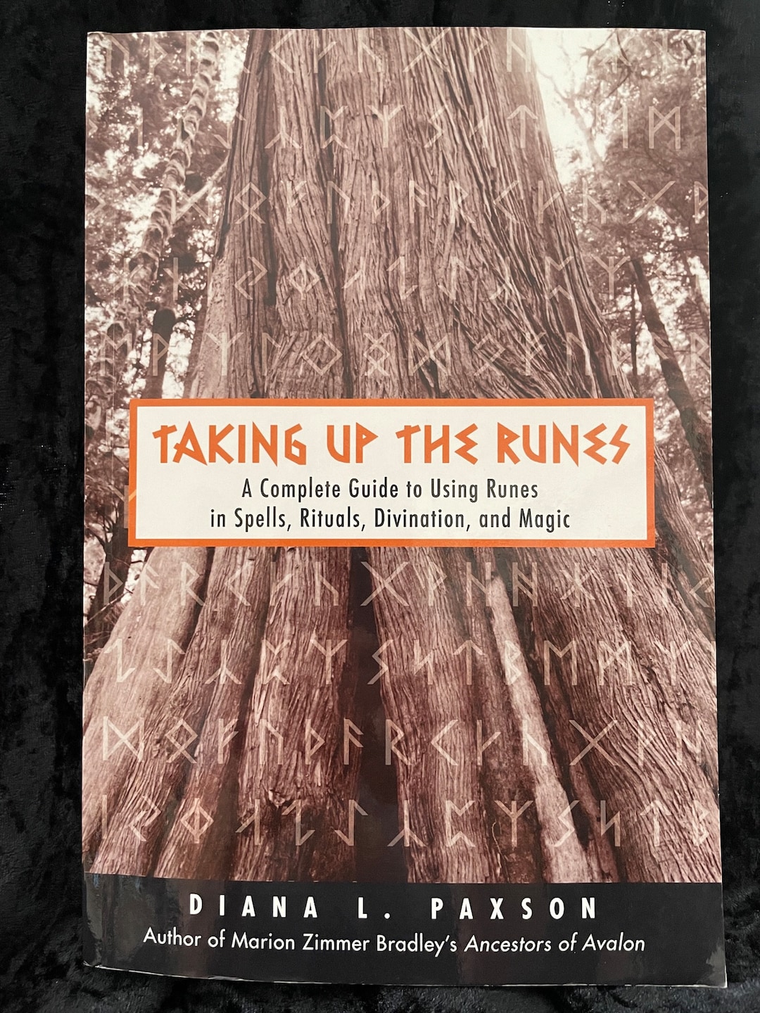 Taking up the Runes, by Diana L. Paxson, 2005, Paperback - Etsy