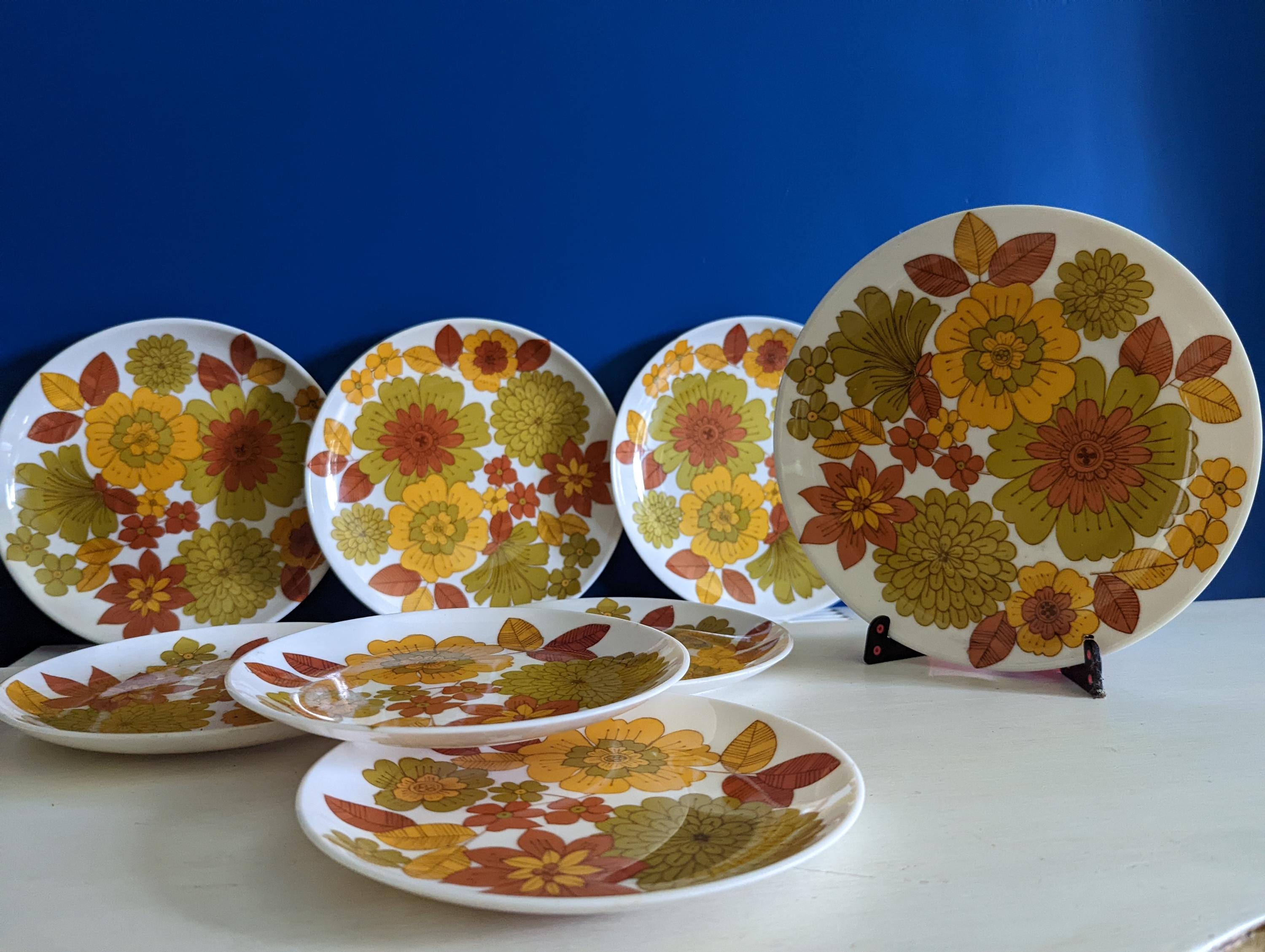 70's Vintage Retro Picnic Plate Set - Etsy UK