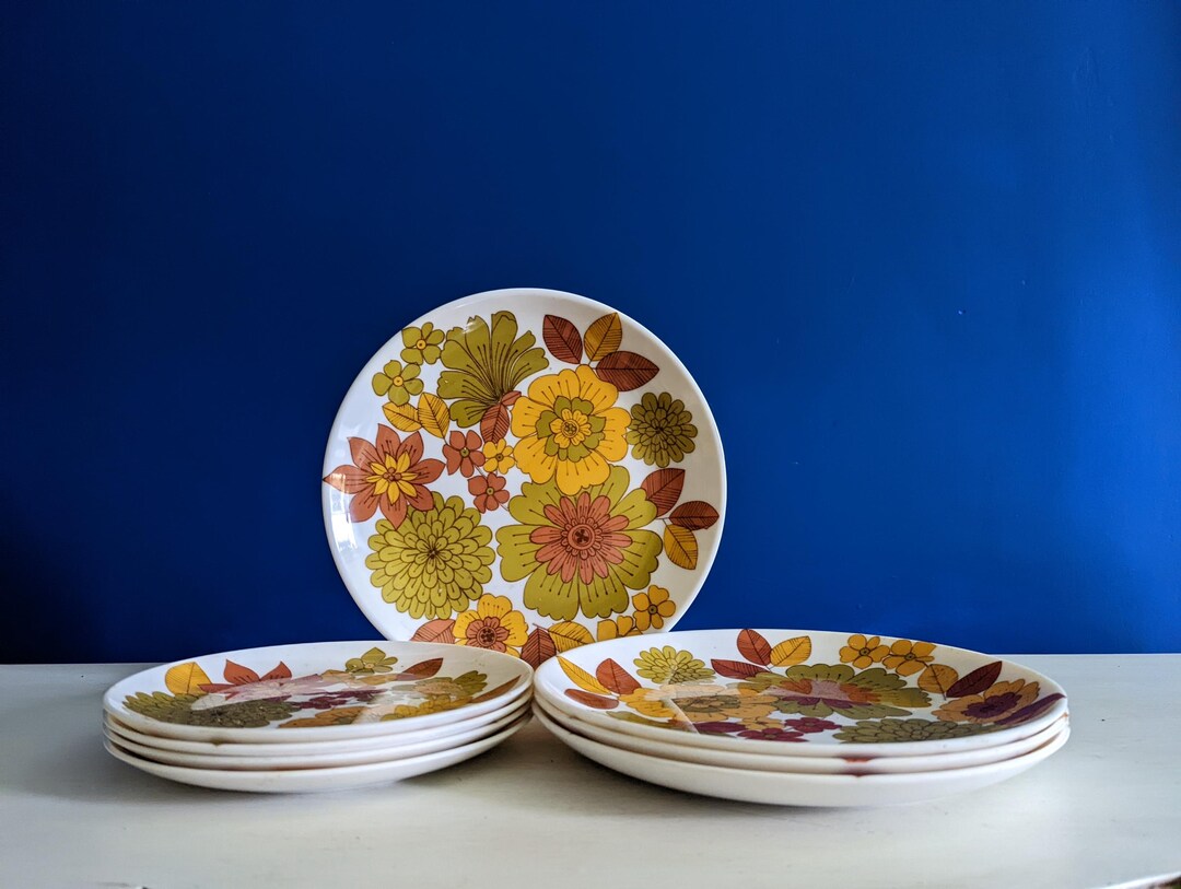 70's Vintage Retro Picnic Plate Set - Etsy UK