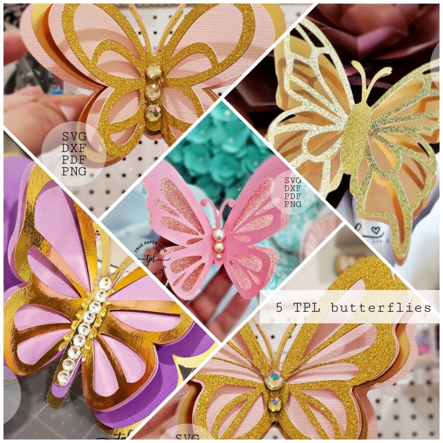 Five Different Butterfly Files Svg/dxf/png/pdf - Etsy