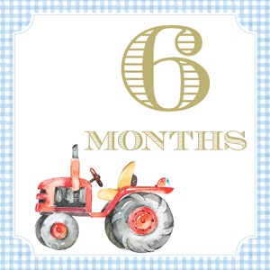 Preppy Baby Boy Milestone Cards / Watercolor Monthly Milestone / Baby ...